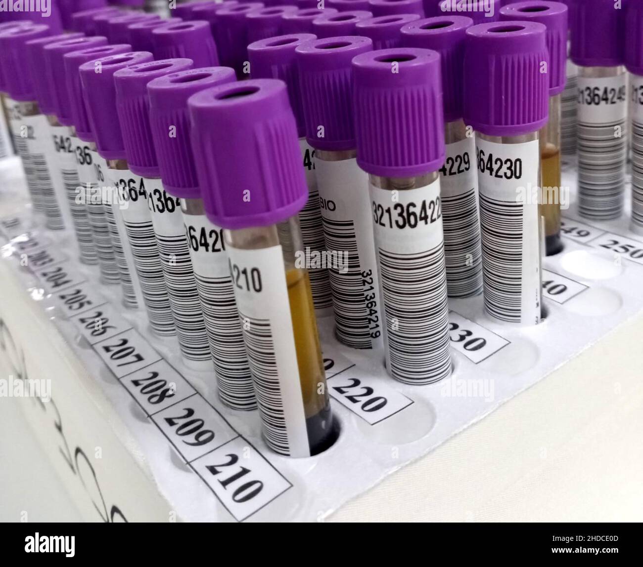 Sample tubes sorted for analysis Stock Photo - Alamy