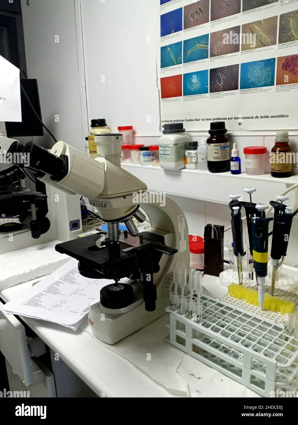 Electronic microscope in a laboratory Stock Photo - Alamy