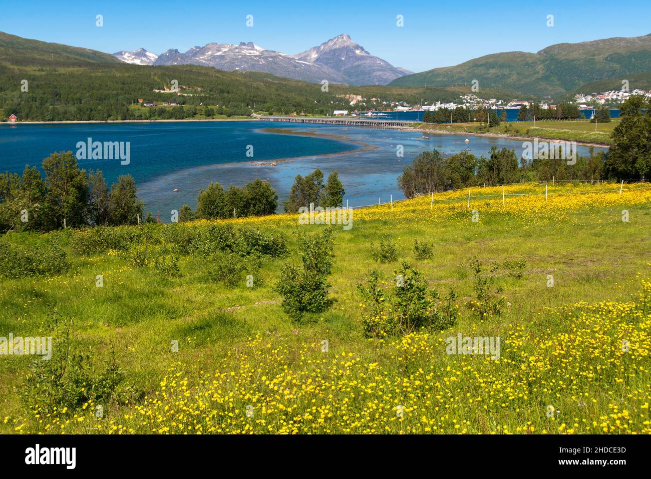 Sommer 2018 hi-res stock photography and images - Alamy