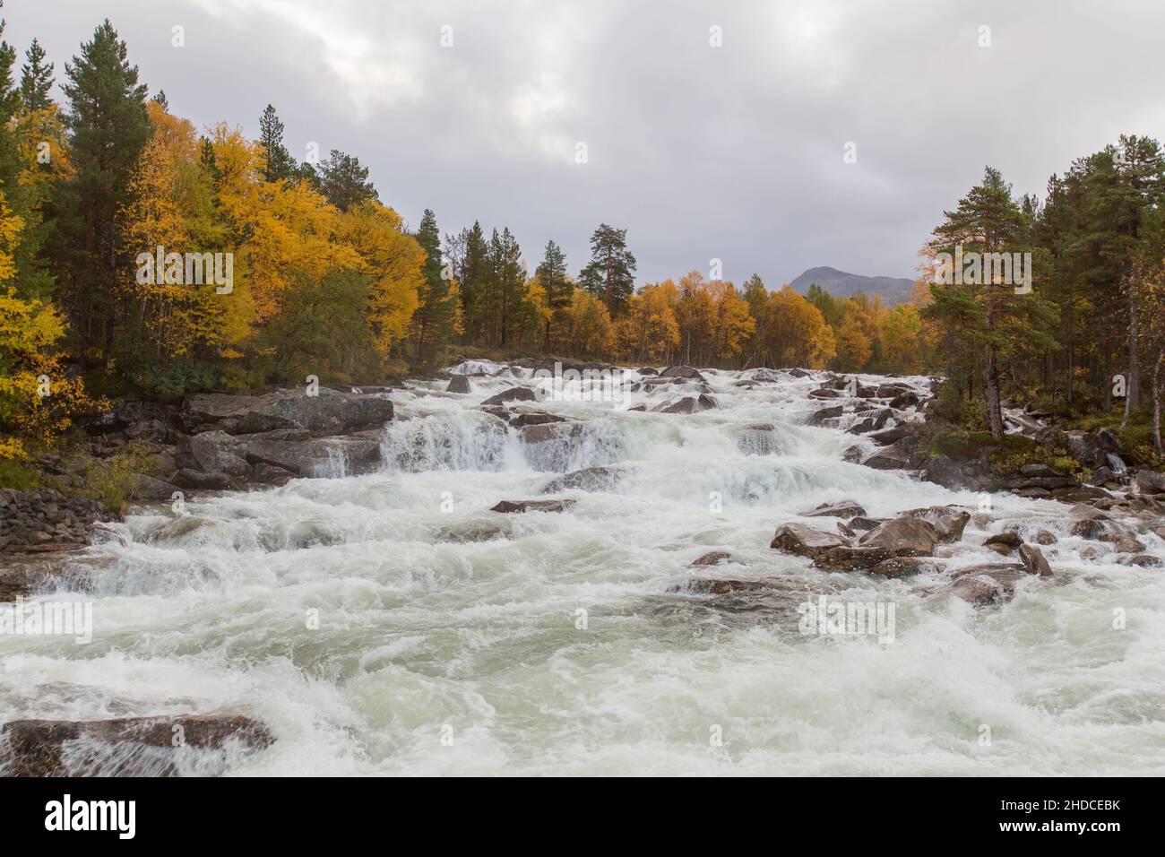 Saltfjell nationalpark hi-res stock photography and images - Alamy