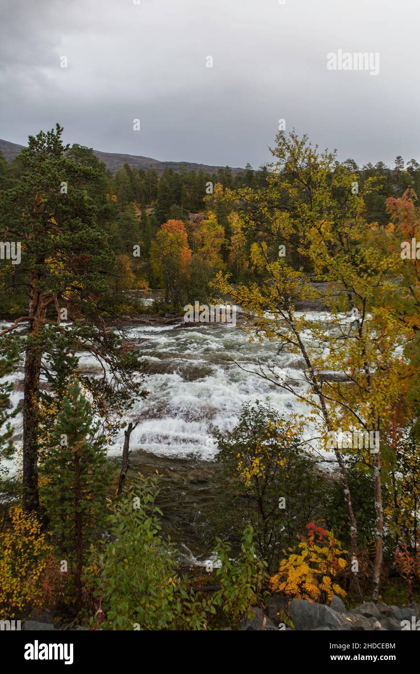 Saltfjell nationalpark hi-res stock photography and images - Alamy