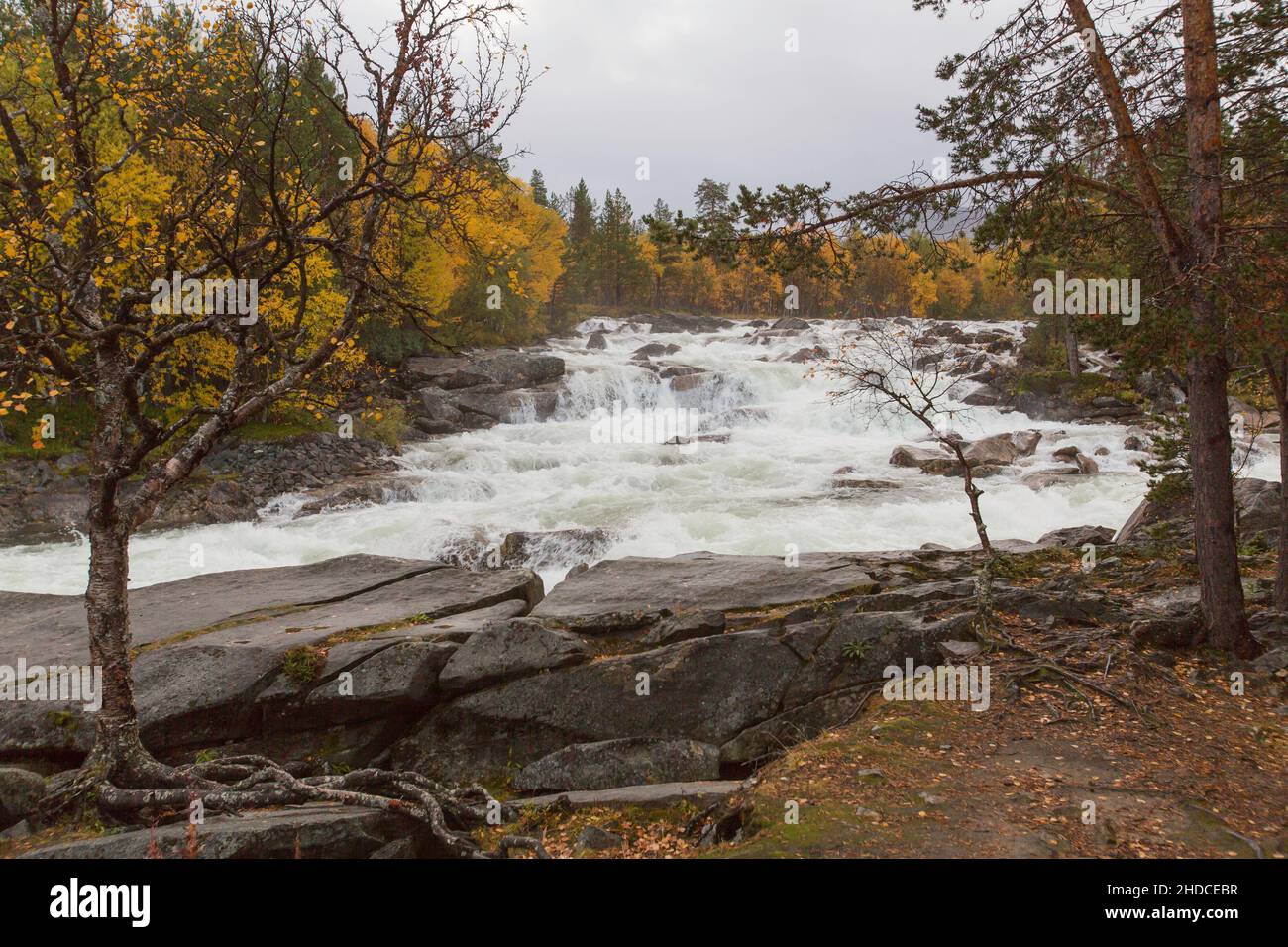 199f bas 2018 12 000168 hi-res stock photography and images - Alamy
