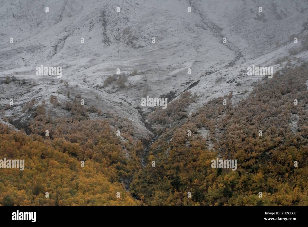 Neuschnee im Drivdalen / new snow in Drivdalen Stock Photo - Alamy
