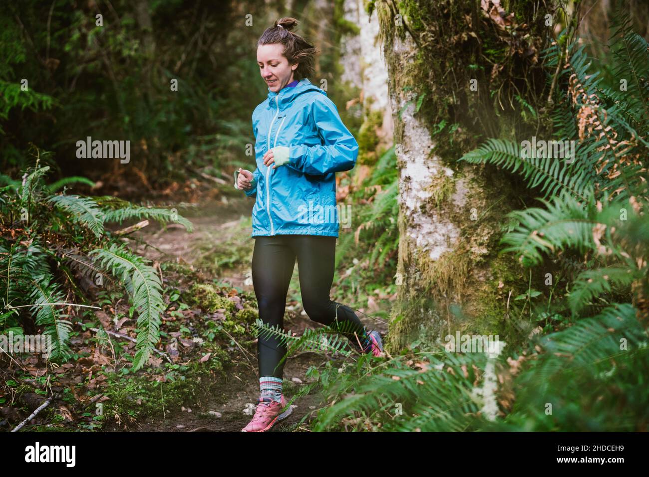 Female trail runner in blue jacket runs in lush fern forest Stock Photo ...