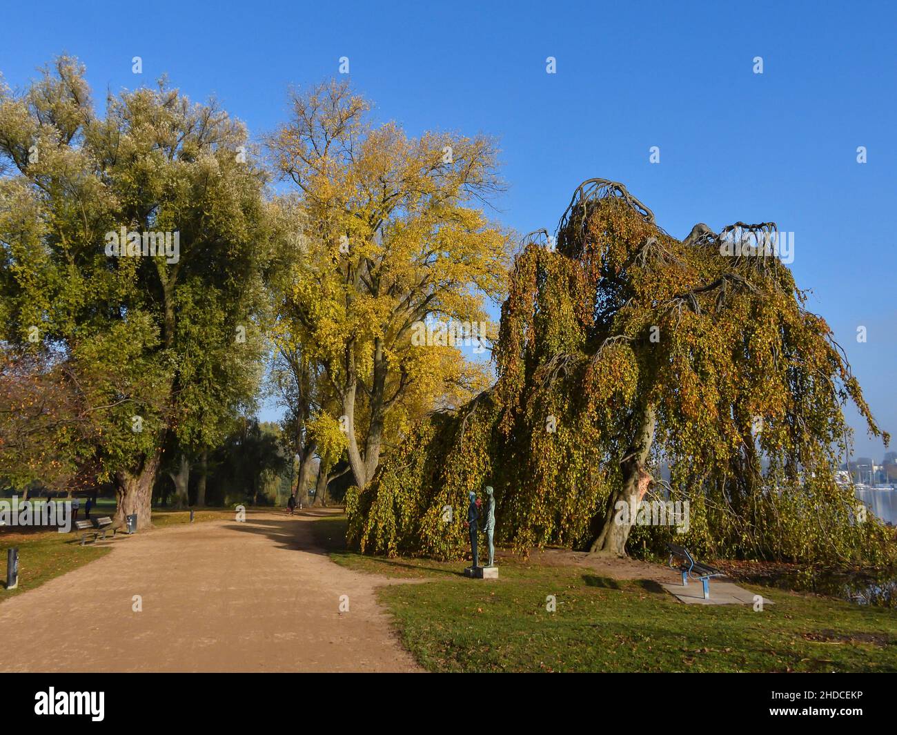 Herbst an der Alster / autumn at lake Alster Stock Photo - Alamy