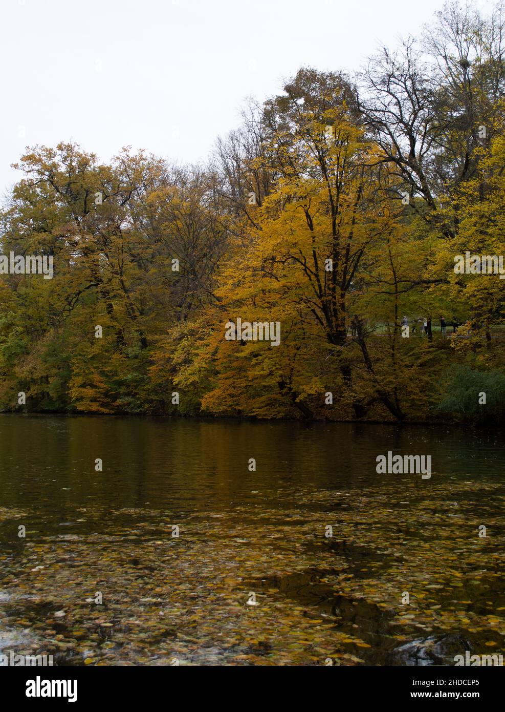 lake in the autumn park Stock Photo - Alamy