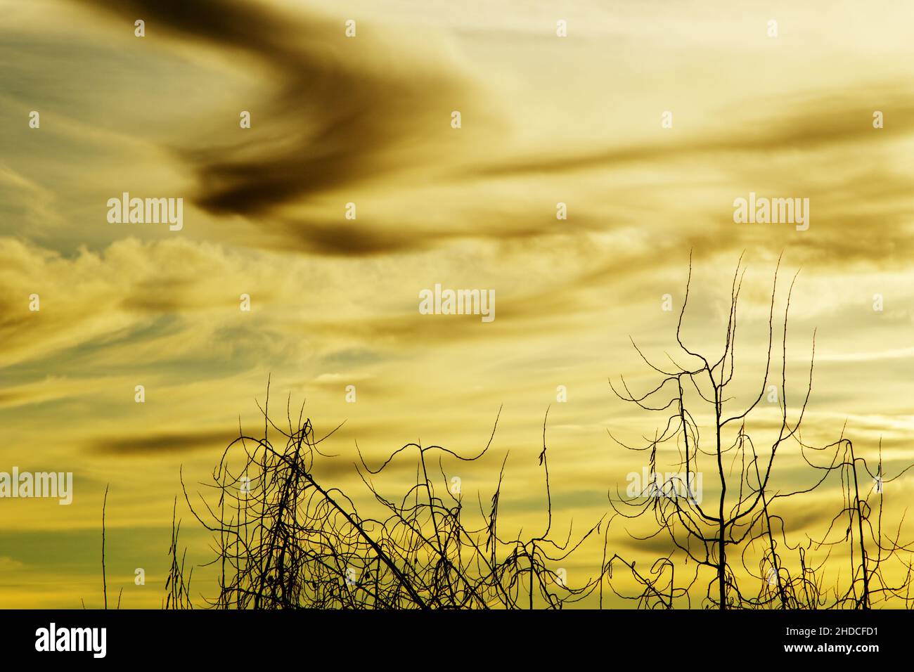 Beautiful Dramatic Sunset Sky with Colorful Clouds Stock Photo - Alamy