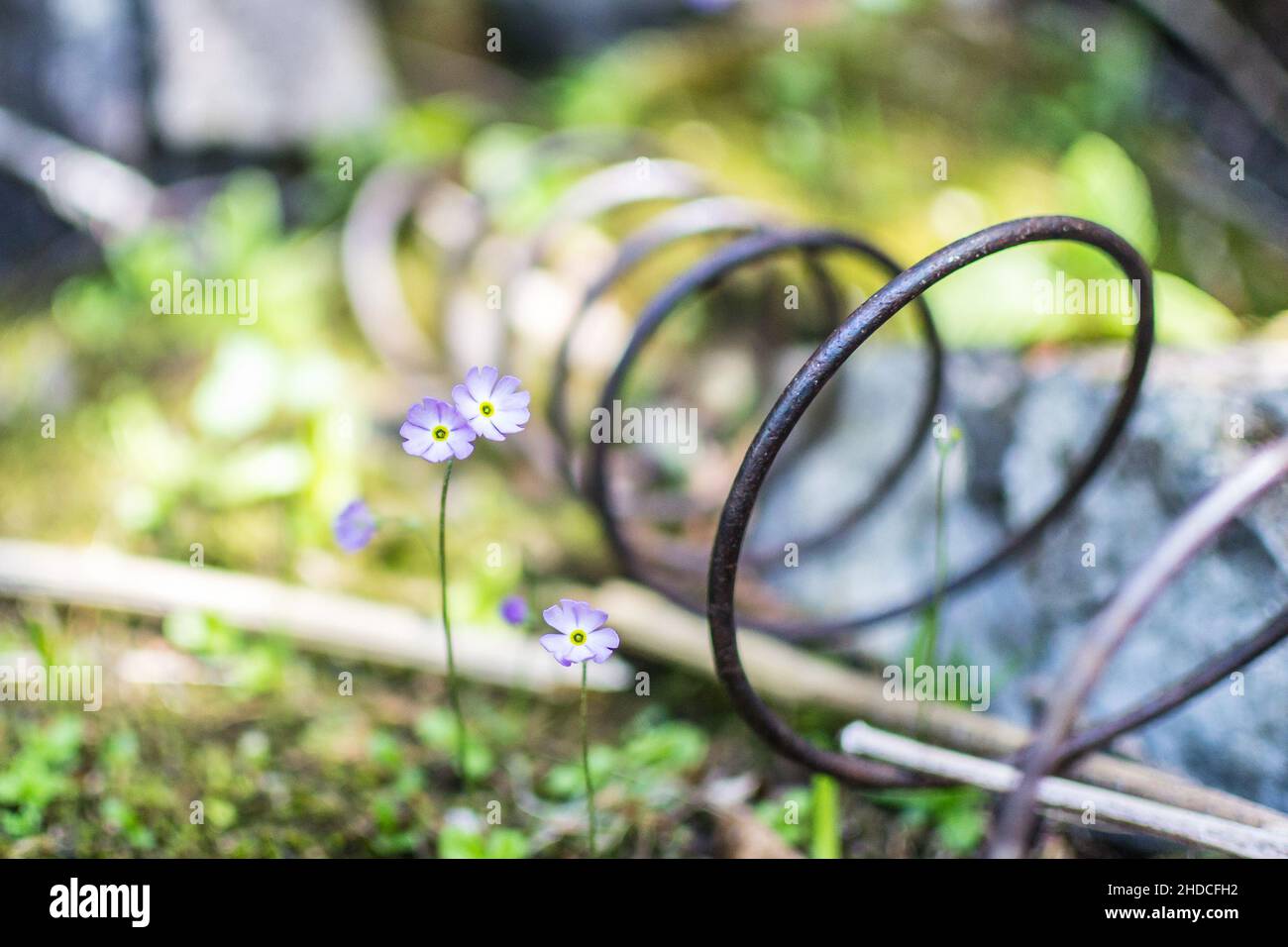 Metal spring hi-res stock photography and images - Alamy