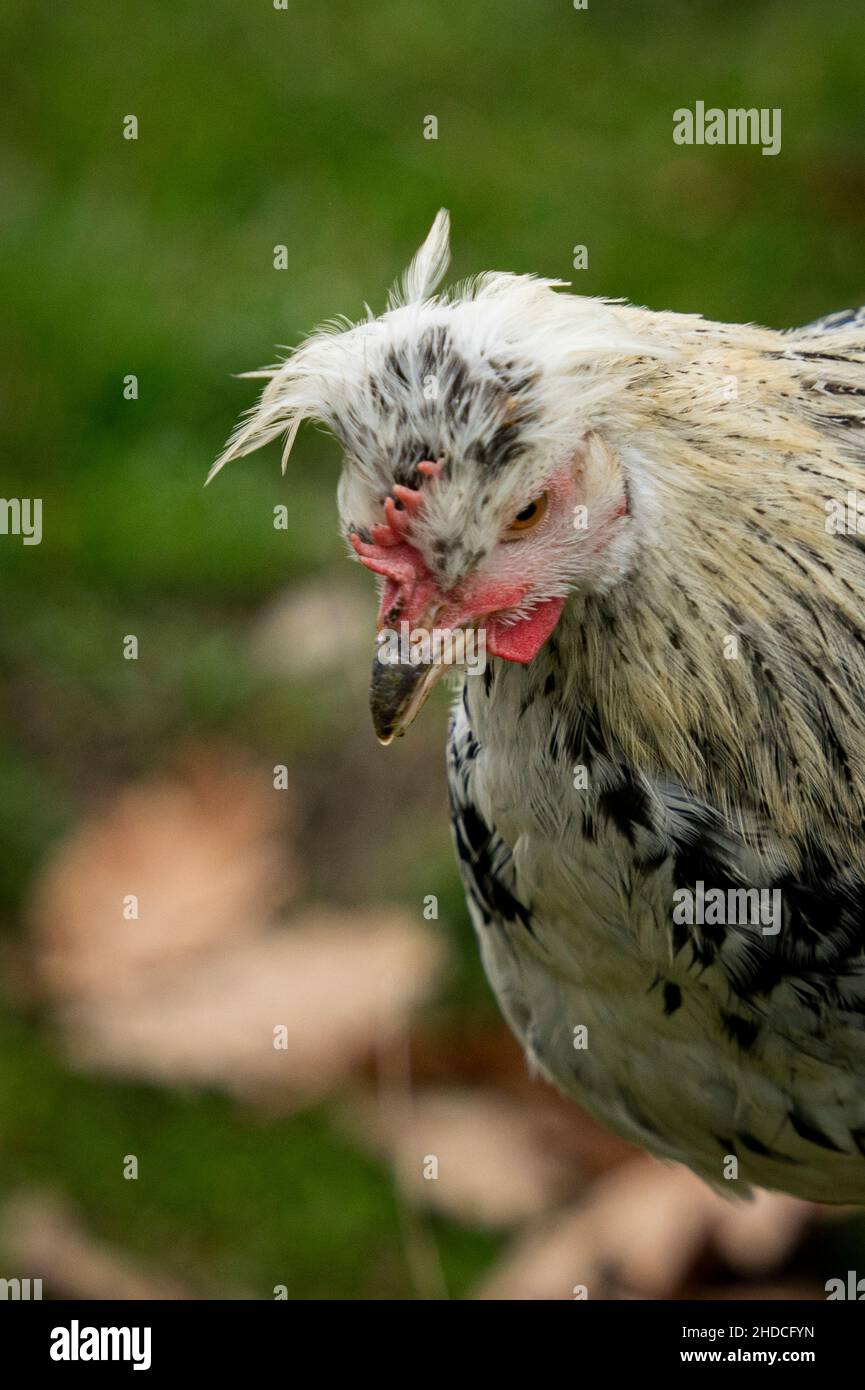 Blurred farm background hi-res stock photography and images - Alamy