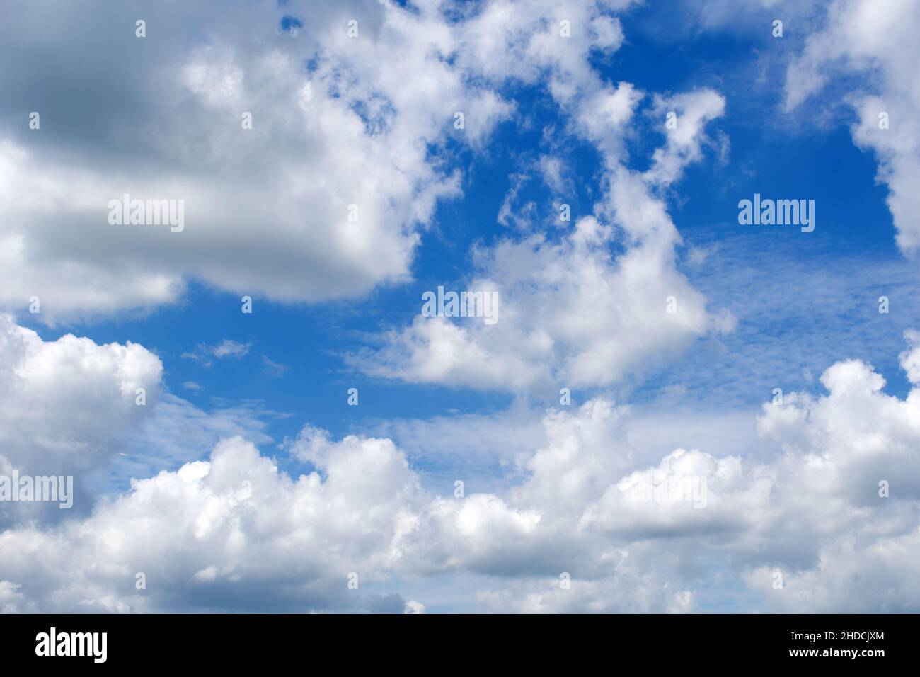 Cumulus Wolken vor blauen Himmel Stock Photo - Alamy