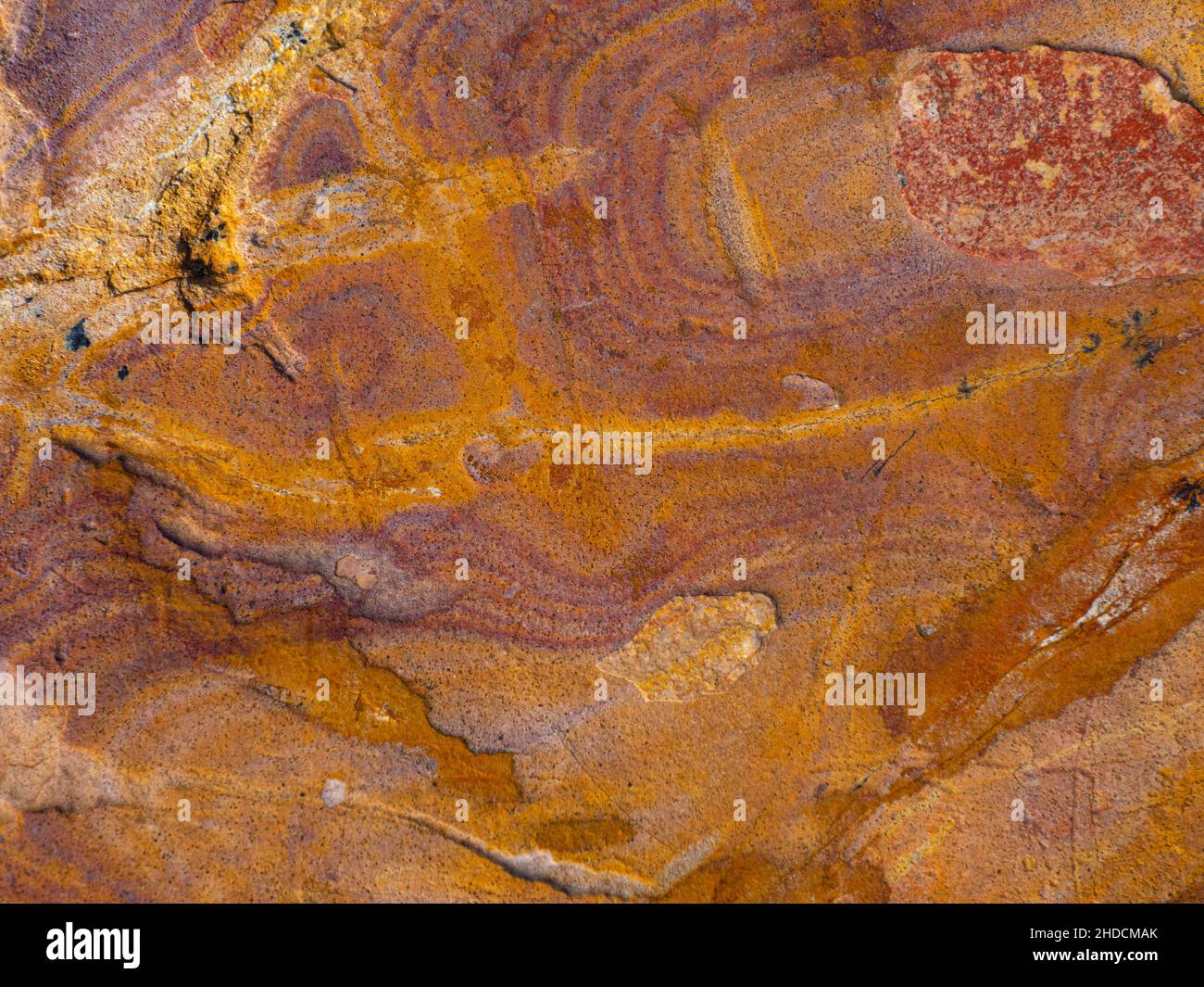 Limestone, rock, patterns, Big Bend National Park, Texas, Chihuahuan ...