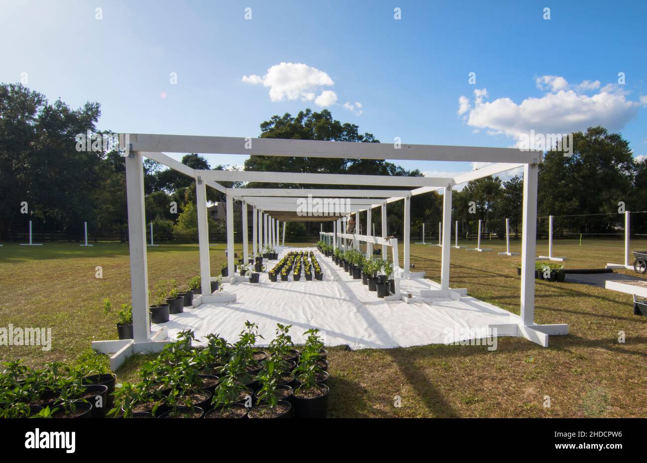 Central Florida Home Organic Garden greenhouse being constructed with ...