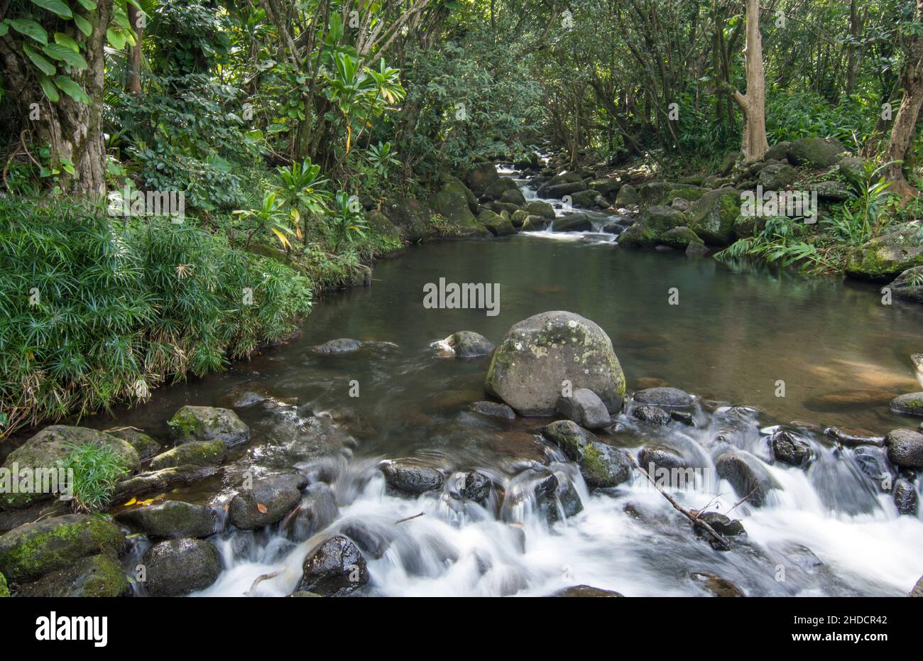 Haena Kauai Hawaii Haena State Park waterfall stream in rain forest ...
