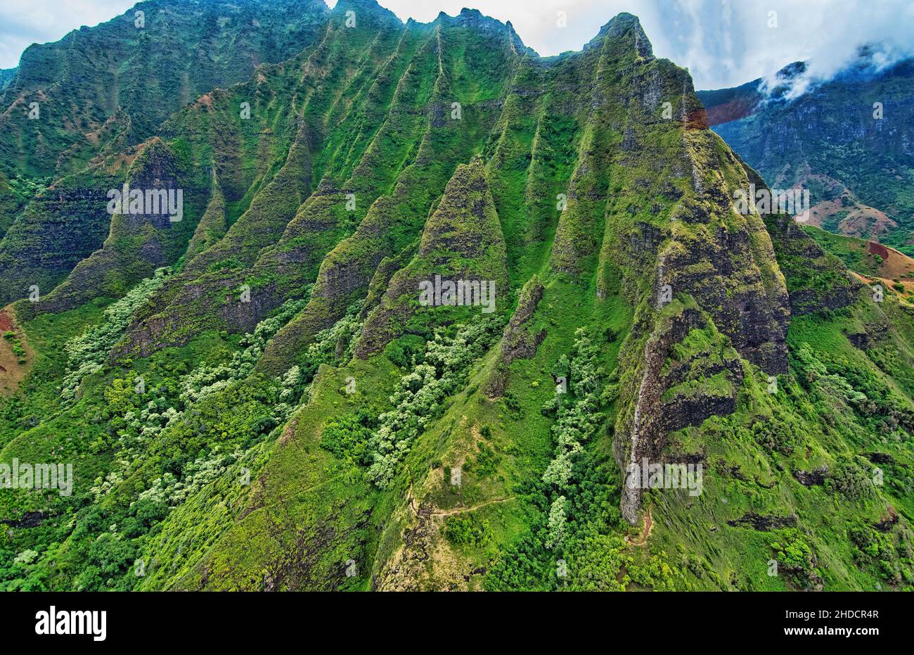Na pali kona forest hi-res stock photography and images - Alamy