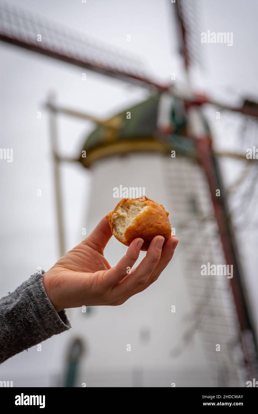 Bite out of typical Dutch wintertime deep fried pastry called 'oliebol ...