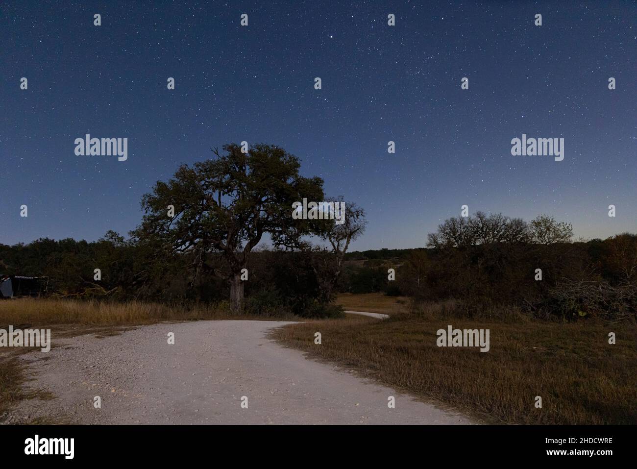 Stars, moon light, oak tree, road, Block Creek Natural Area, Texas ...