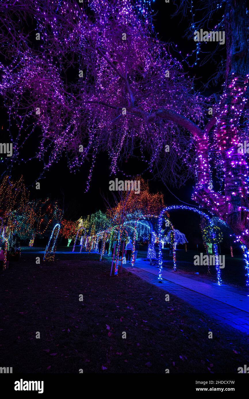 Colorful Christmas Illumination in December Stock Photo - Alamy