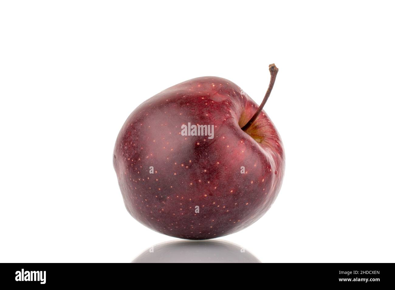 One organic sweet red apple, close-up, isolated on white Stock Photo ...