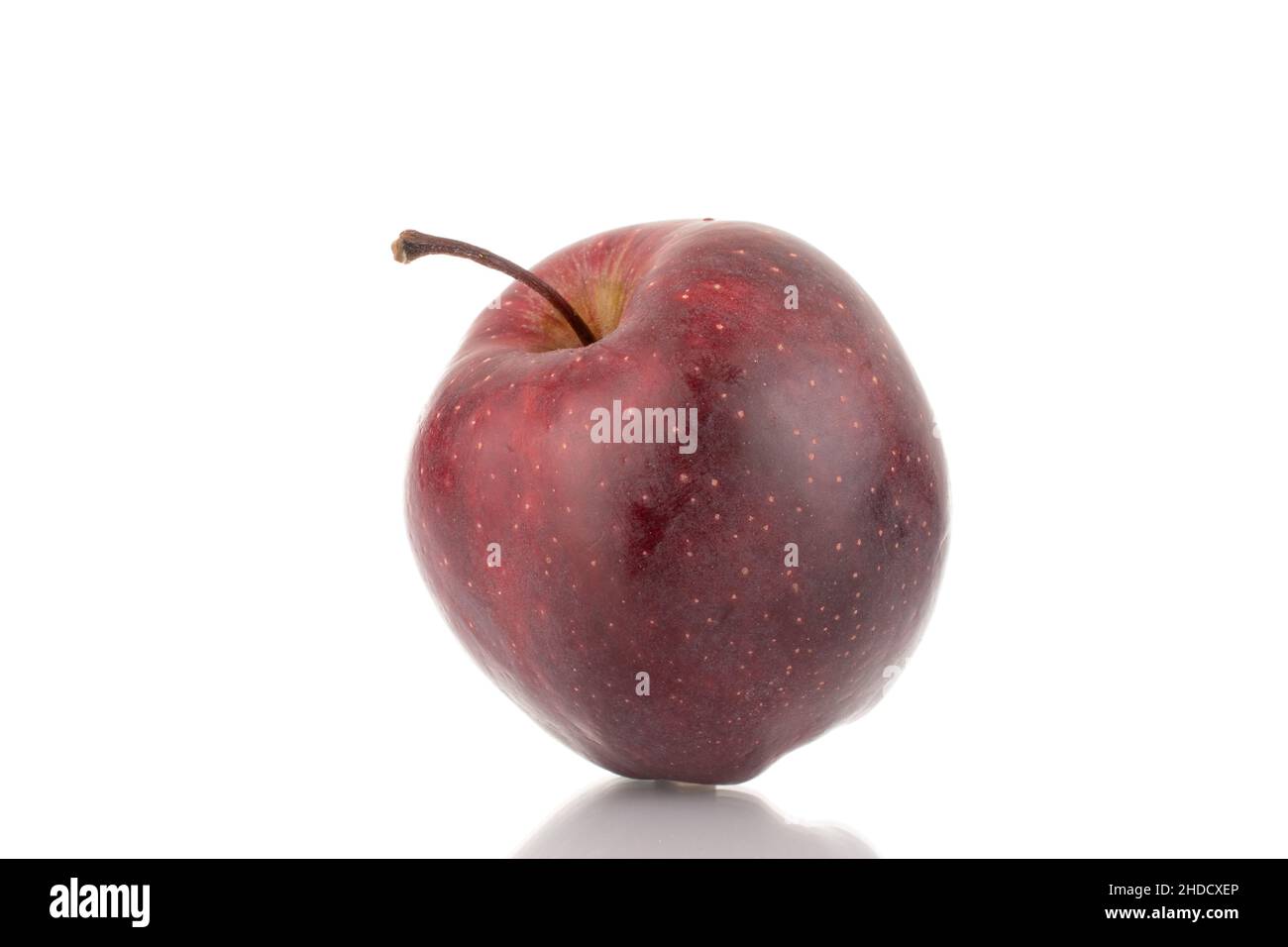 One organic sweet red apple, close-up, isolated on white Stock Photo ...