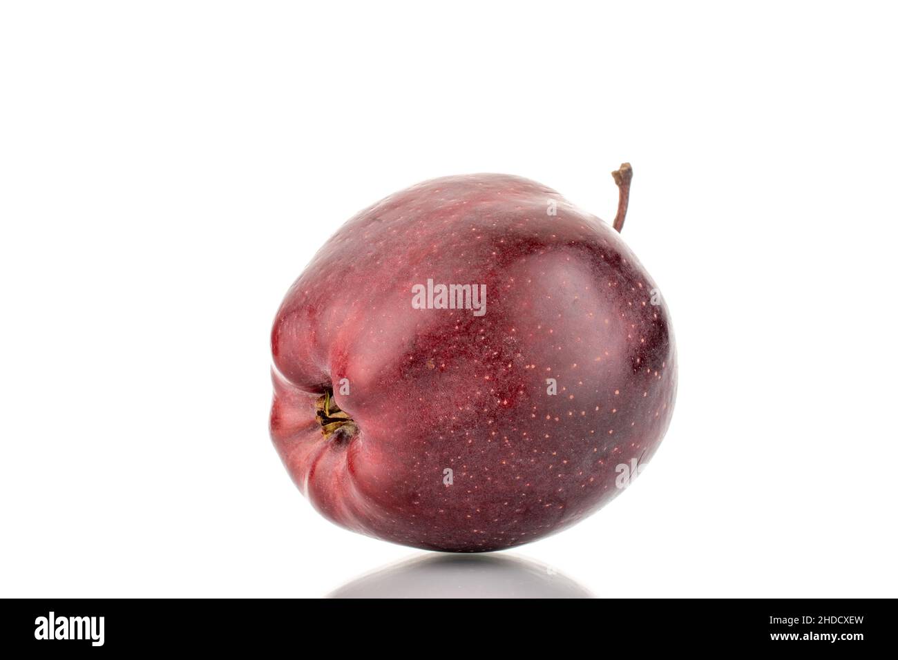 One organic sweet red apple, close-up, isolated on white Stock Photo ...