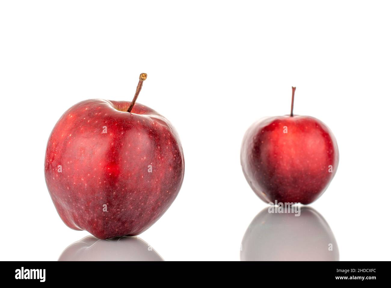 Two organic sweet red apples, close-up, isolated on white Stock Photo ...
