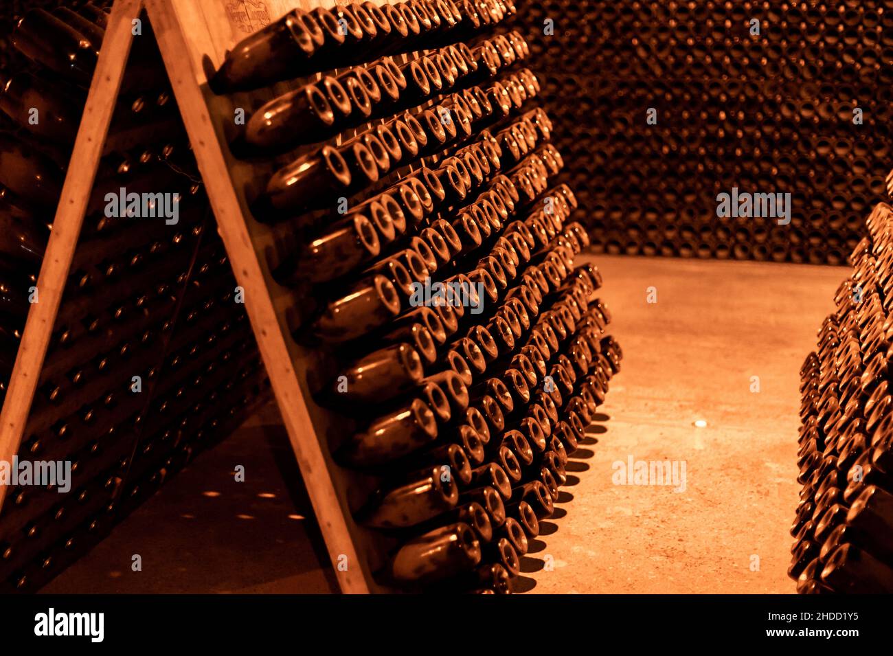 Walking in deep and long undergrounds caves with dusty bottles on racks ...