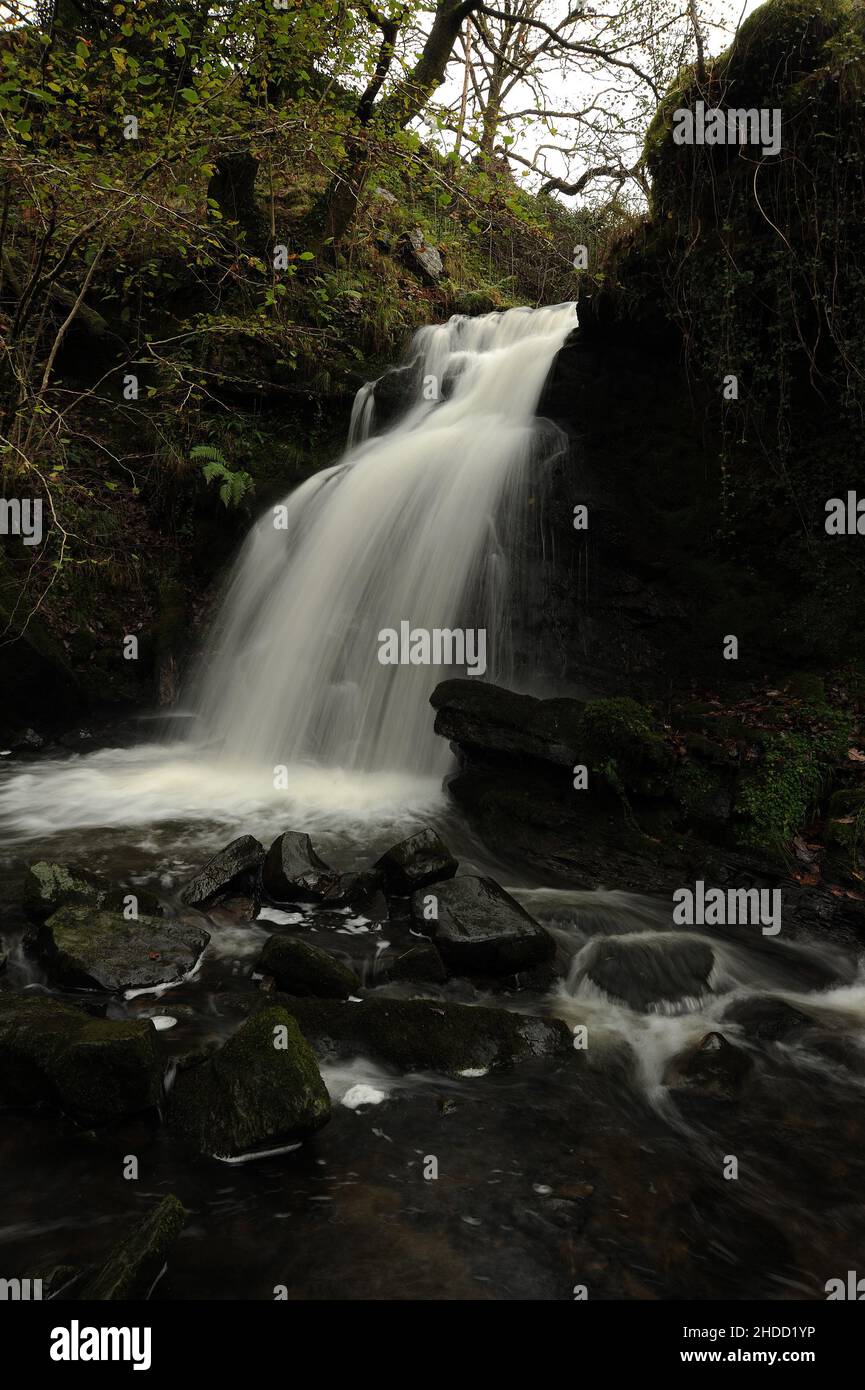 10 feet tall hi-res stock photography and images - Alamy