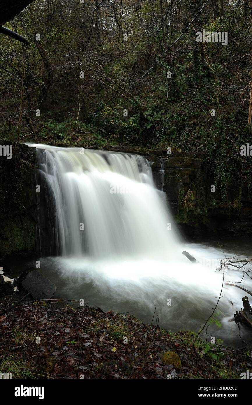 15 feet tall hi-res stock photography and images - Alamy