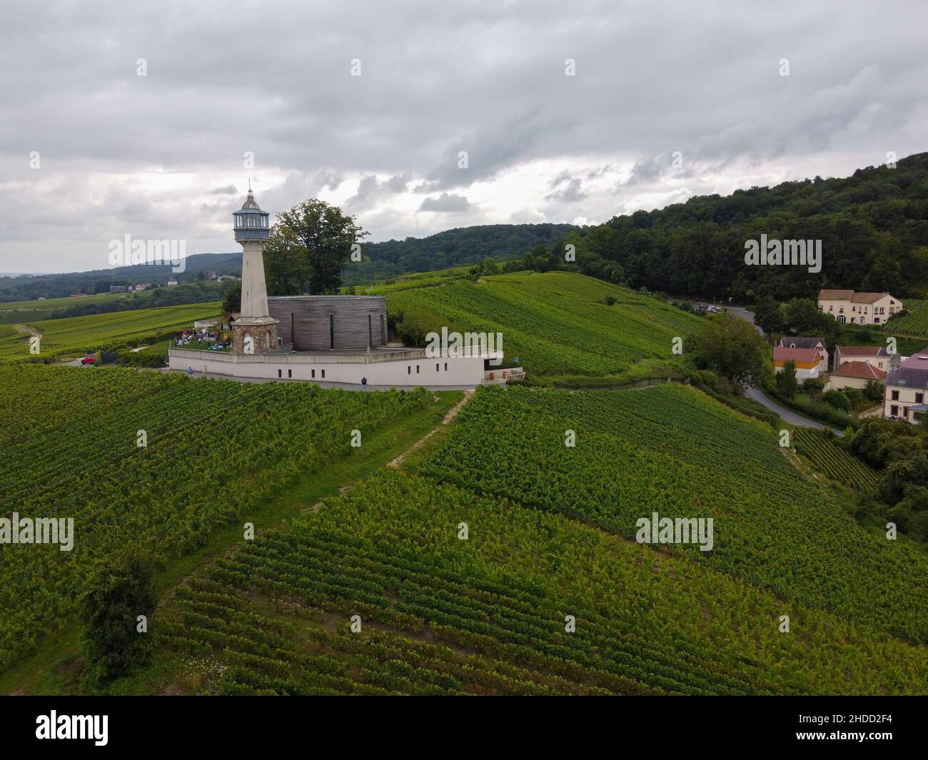 View on lighthouse and green pinot noir grand cru vineyards of famous ...