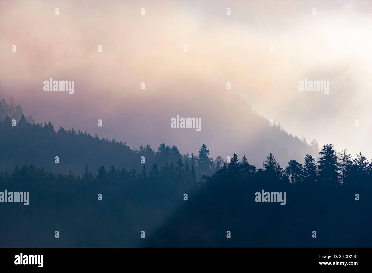 Sun rays streak three levels of misty mountain forests in autumn Stock ...