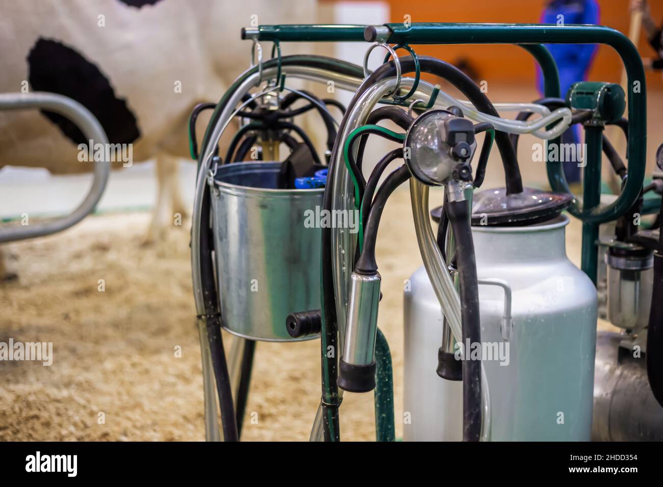 Milking machine cow hi-res stock photography and images - Alamy