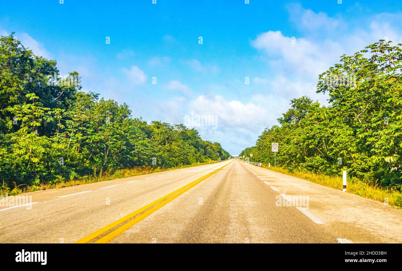 Driving on the highway in the jungle and tropical nature of Playa del ...