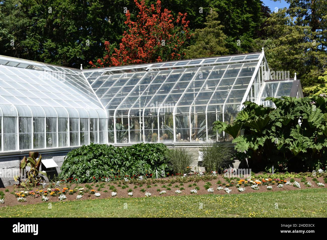 Volunteer Park in Seattle's Capitol Hill neighborhood featuring the ...