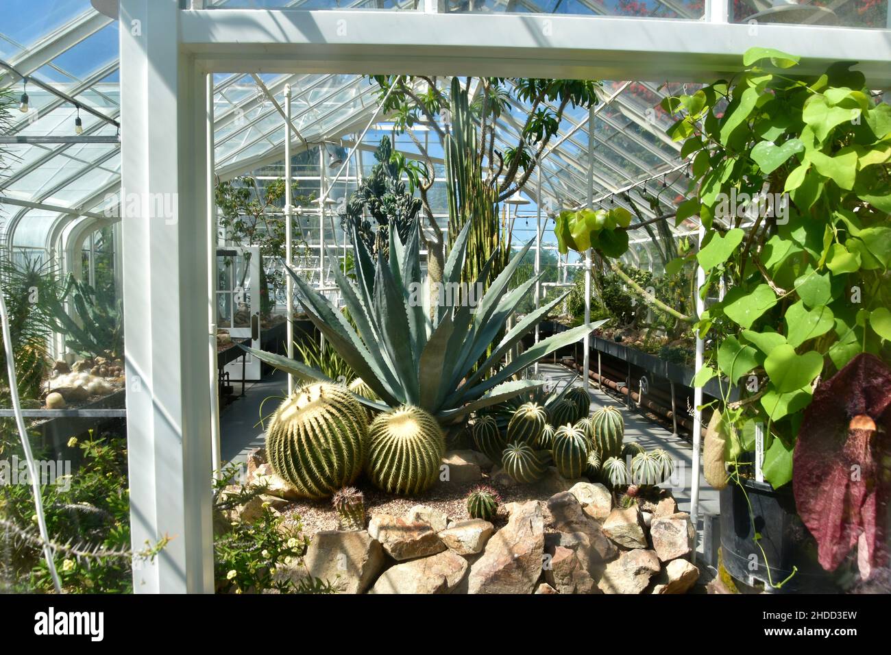 Volunteer Park in Seattle's Capitol Hill neighborhood featuring the ...