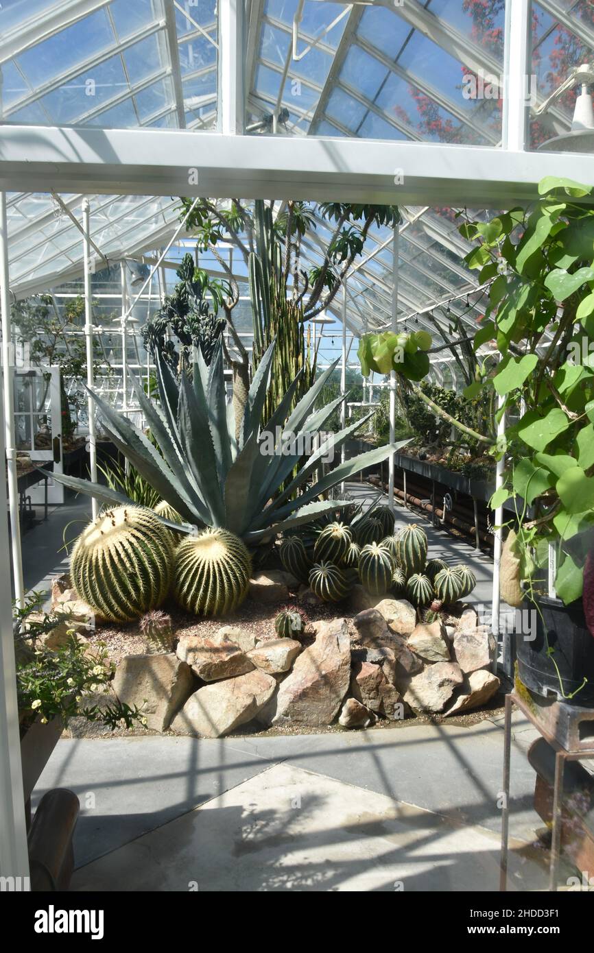 Volunteer Park in Seattle's Capitol Hill neighborhood featuring the ...