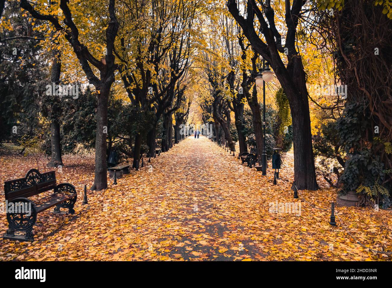Beautiful view autumn garden colorful hi-res stock photography and ...