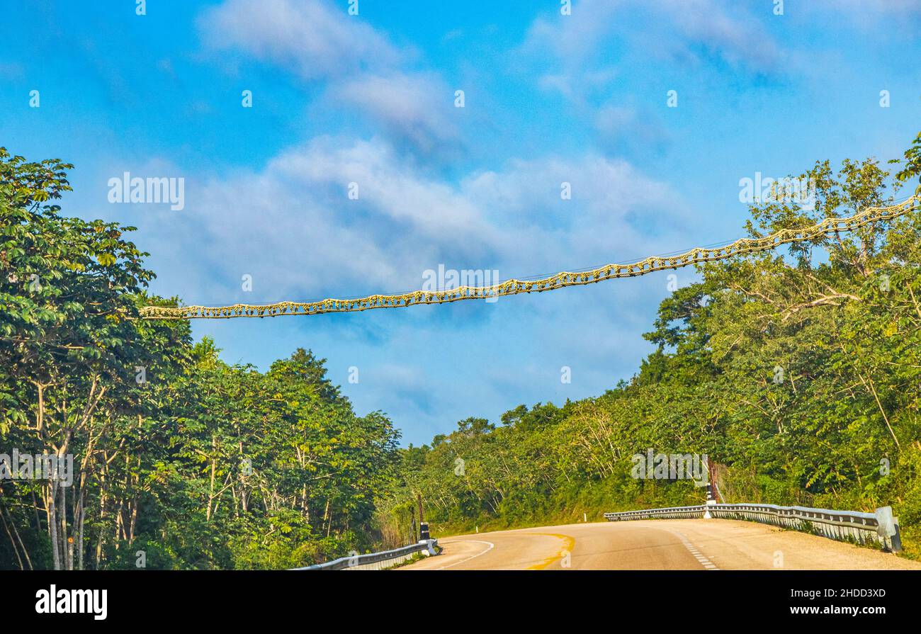Driving on the highway in the jungle and tropical nature of Playa del ...