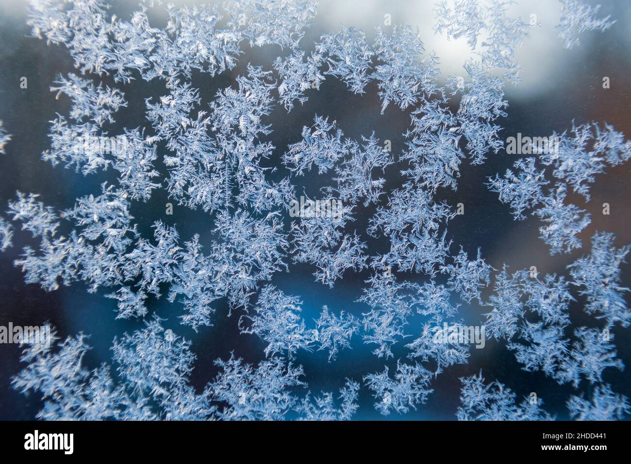 Natural frost pattern on glass window close up with dark background ...