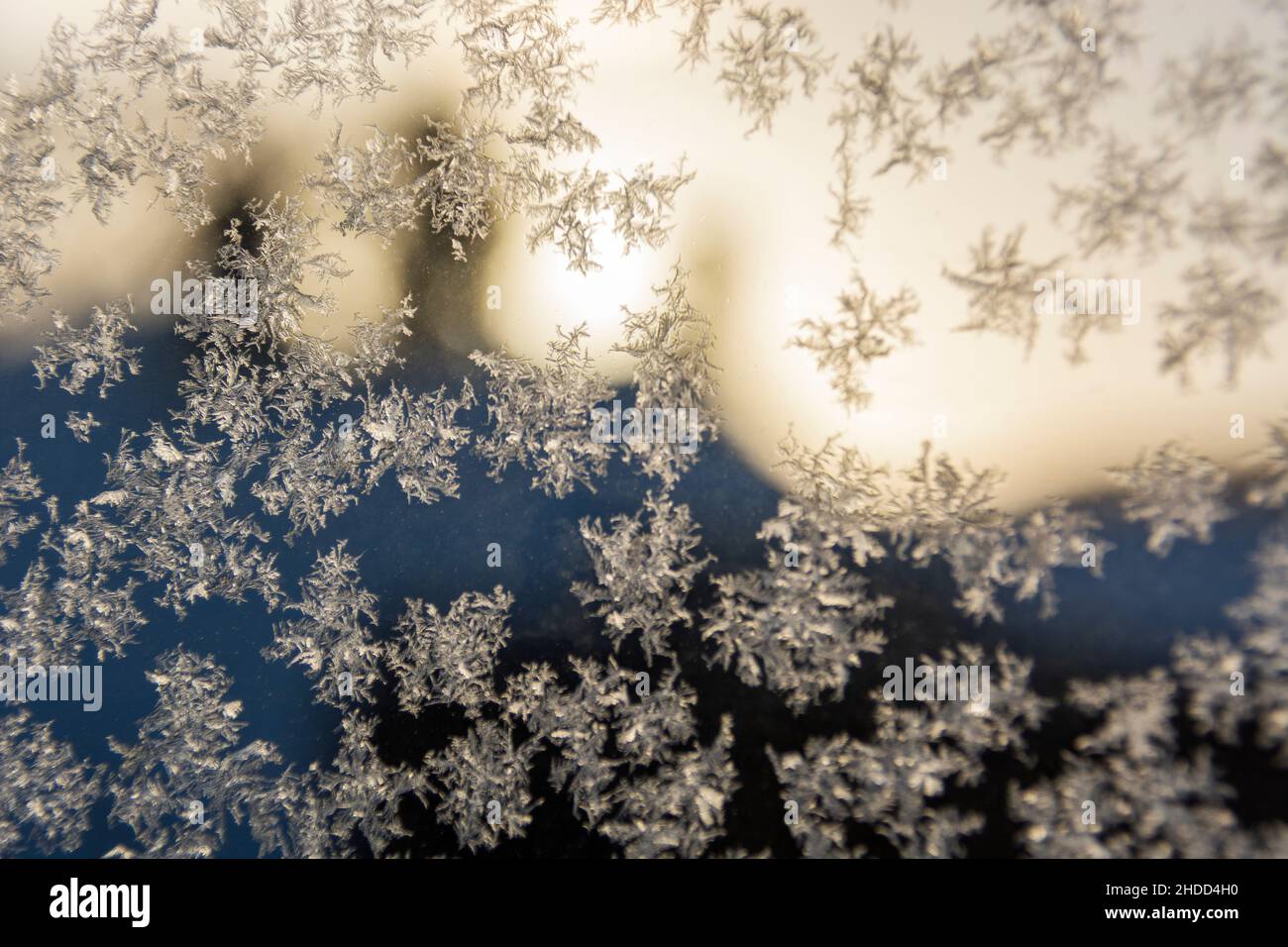Natural frost pattern on glass window close up with blurred house and ...