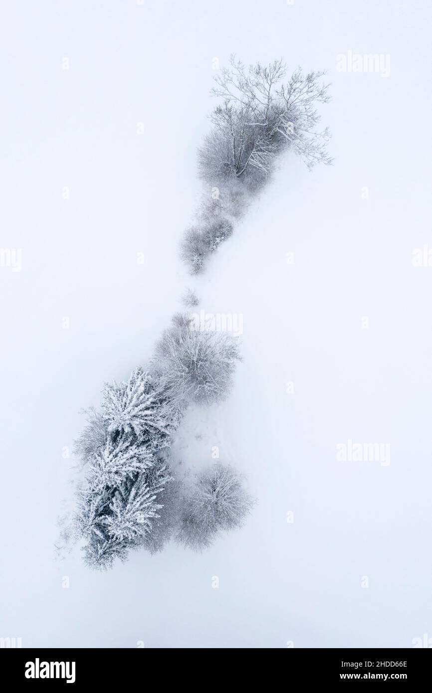 Bushes top view hi-res stock photography and images - Alamy