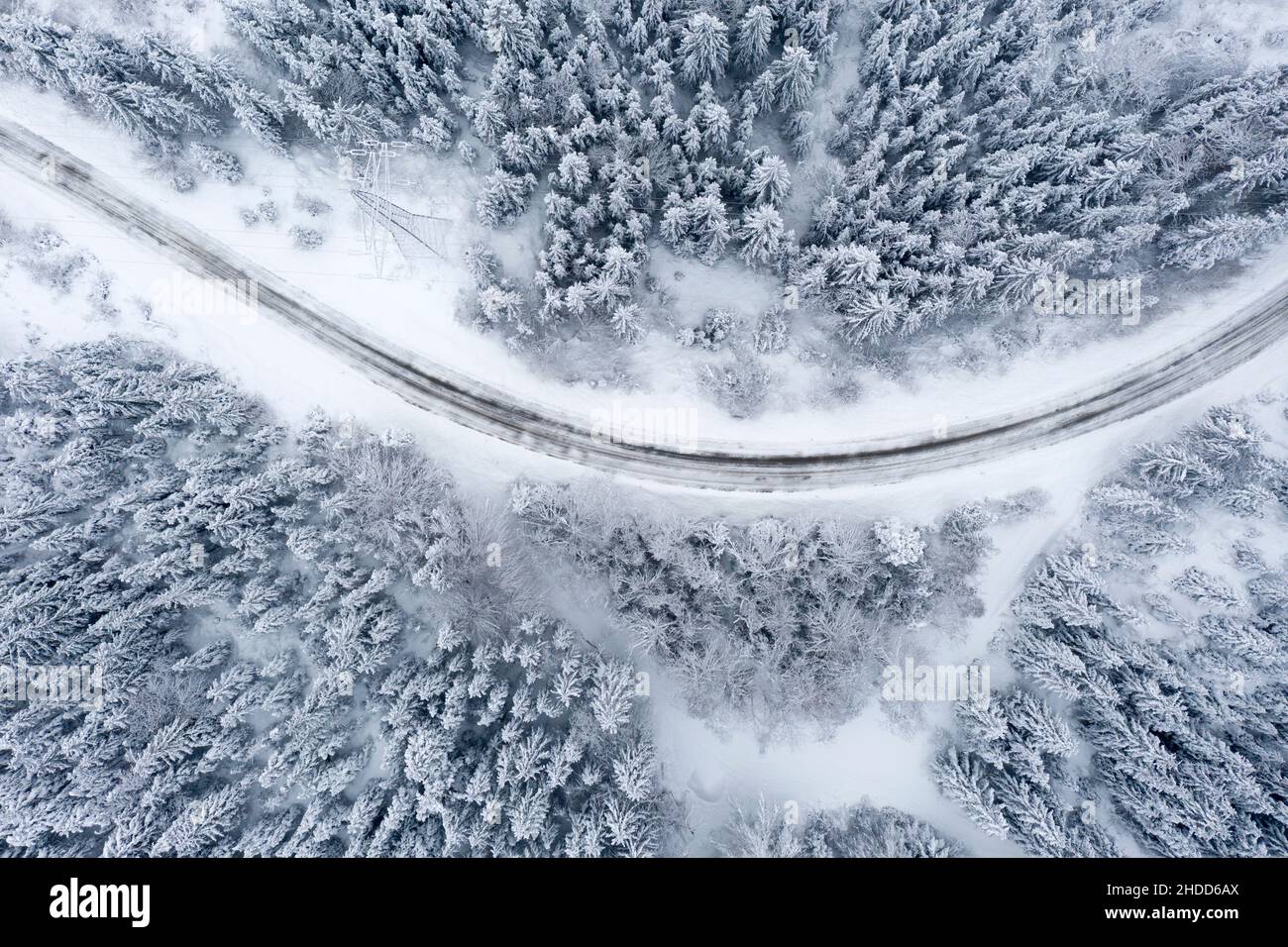 Winter forest road traffic from hi-res stock photography and images - Alamy