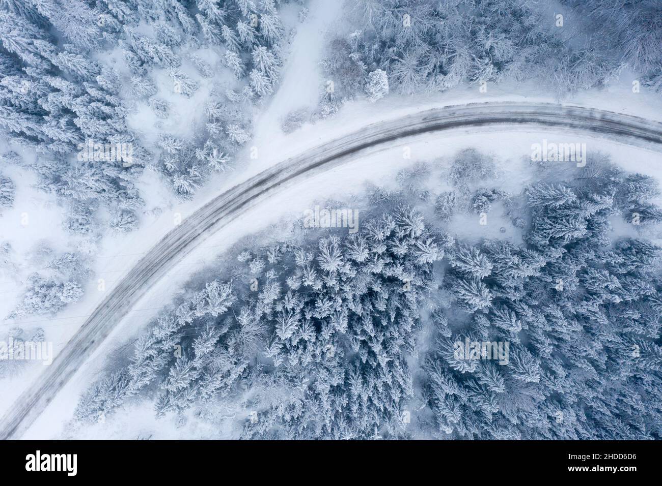 Snow lane curve of a country road through a snowy forest in winter ...