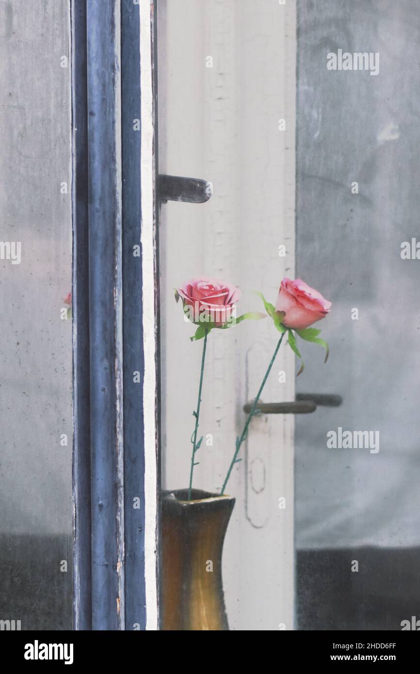 With two roses hi-res stock photography and images - Alamy