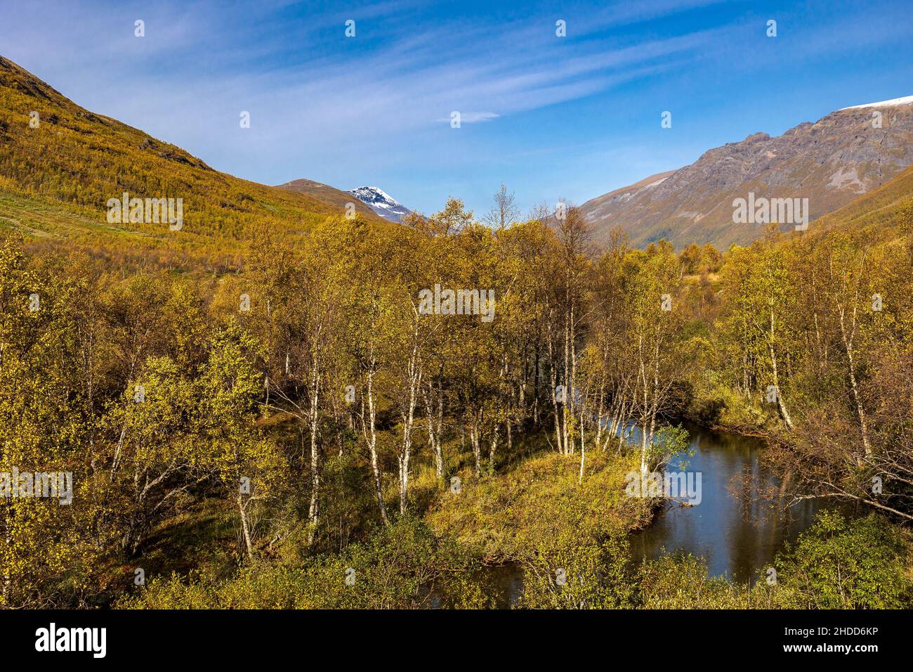 Forested environment hi-res stock photography and images - Alamy