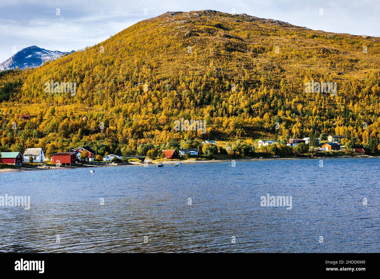 Beautiful view of the lake and forested mountains in Troms, Norway ...