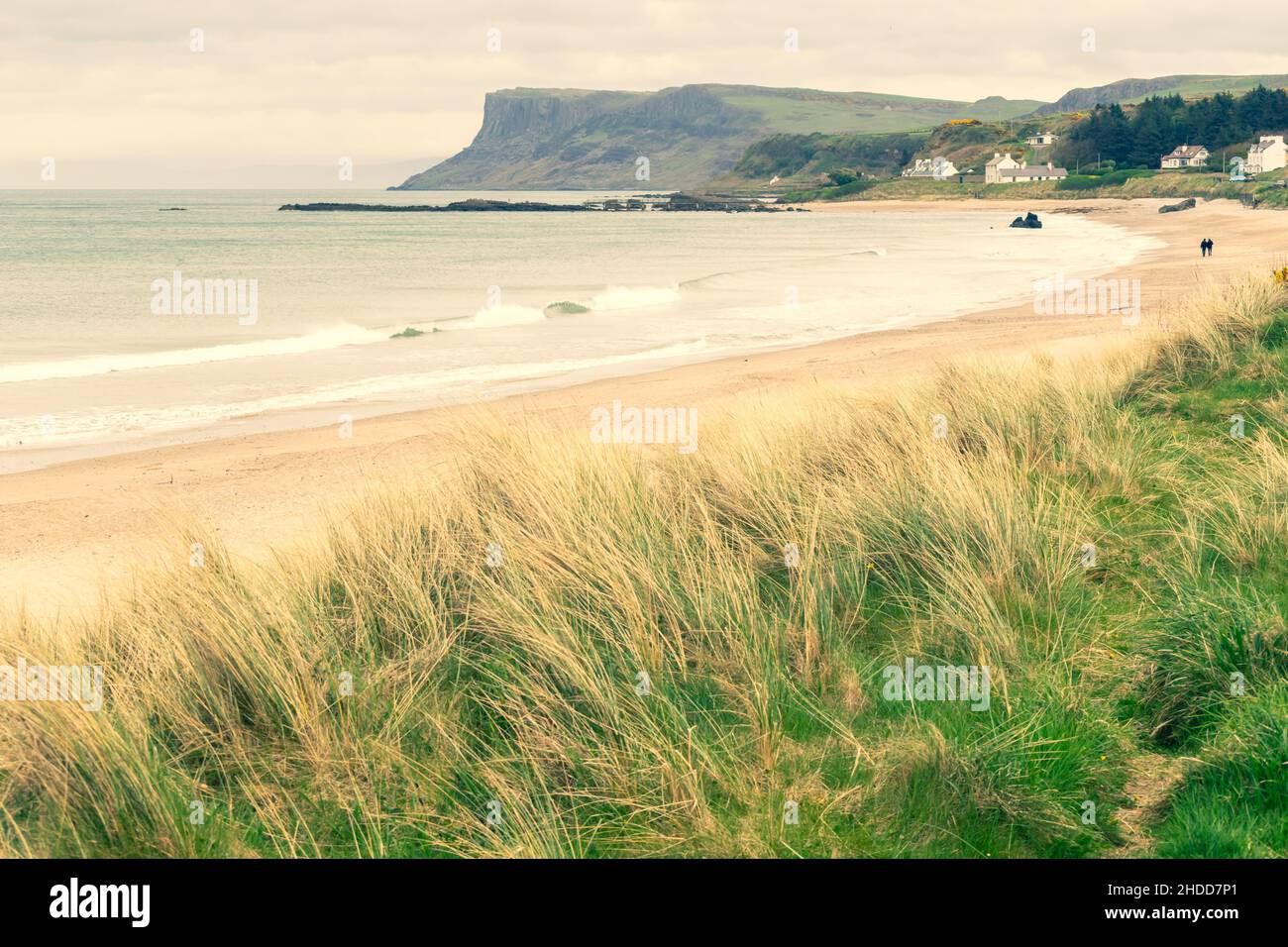 Wild Ballycastle beach with tourists walking and fair head cliff in the ...