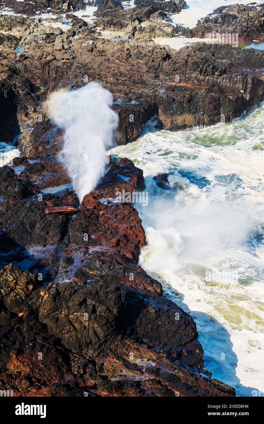 Devils Churn & Spouting Horn; Pacific Ocean; south of Yachats; Oregon ...