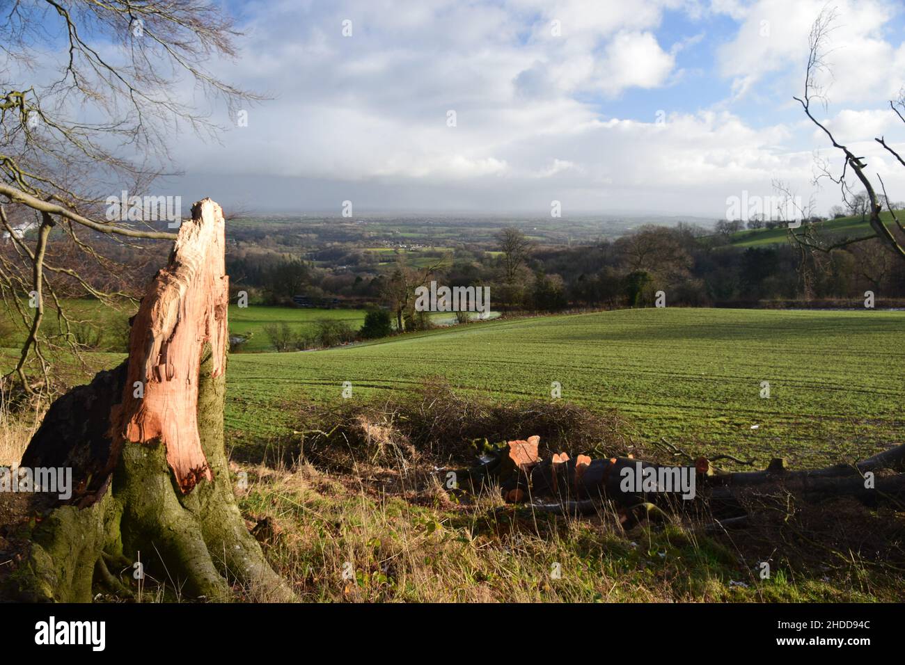 Heading towards Chirk castle on the Offa dyke pathway and looking out ...