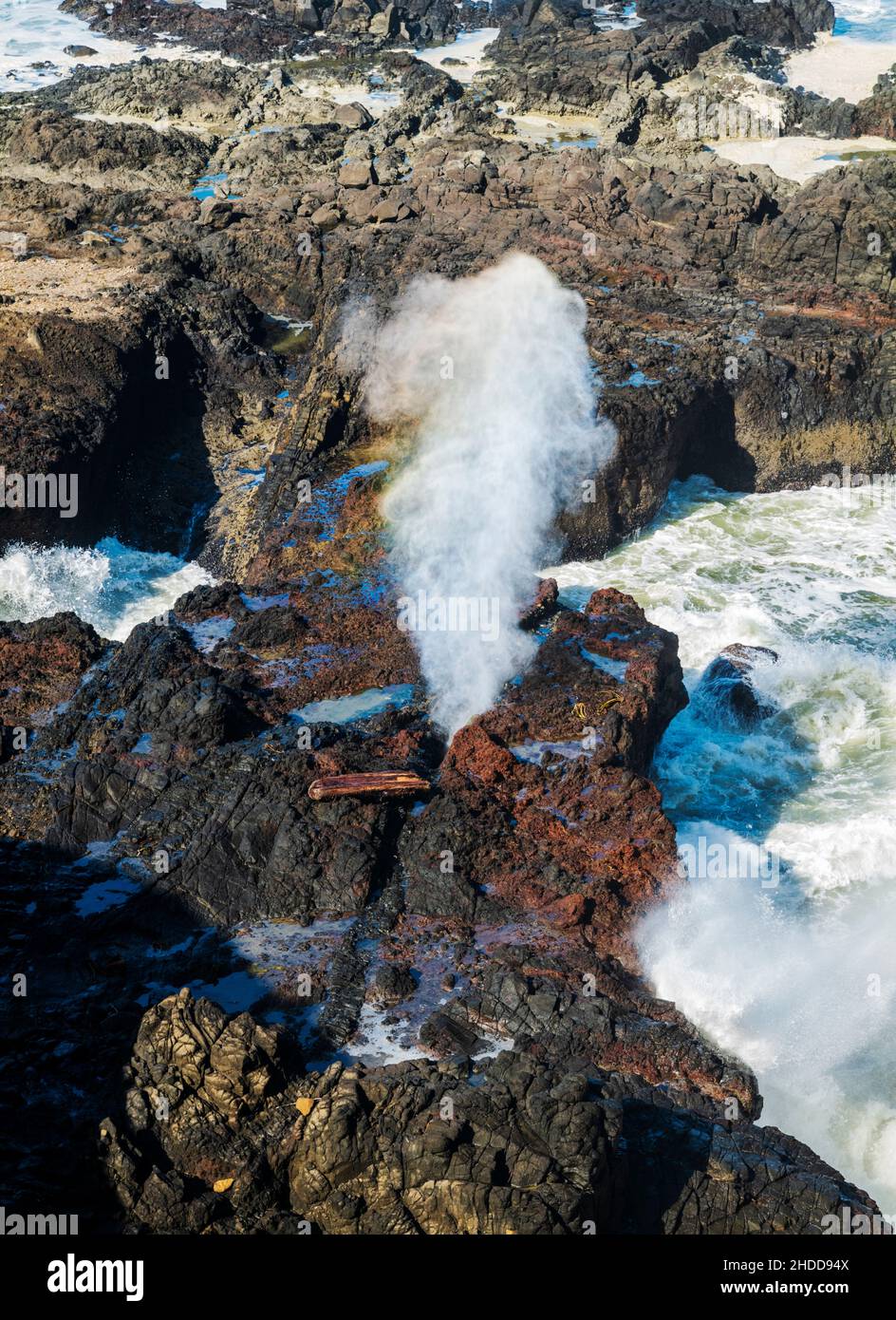 Devils Churn & Spouting Horn; Pacific Ocean; south of Yachats; Oregon ...