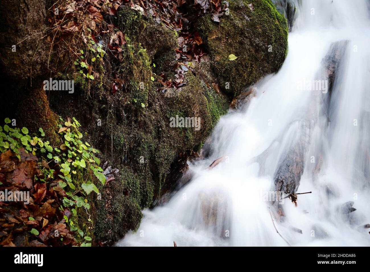 Waterfall falling from the rocks in the forest Stock Photo - Alamy